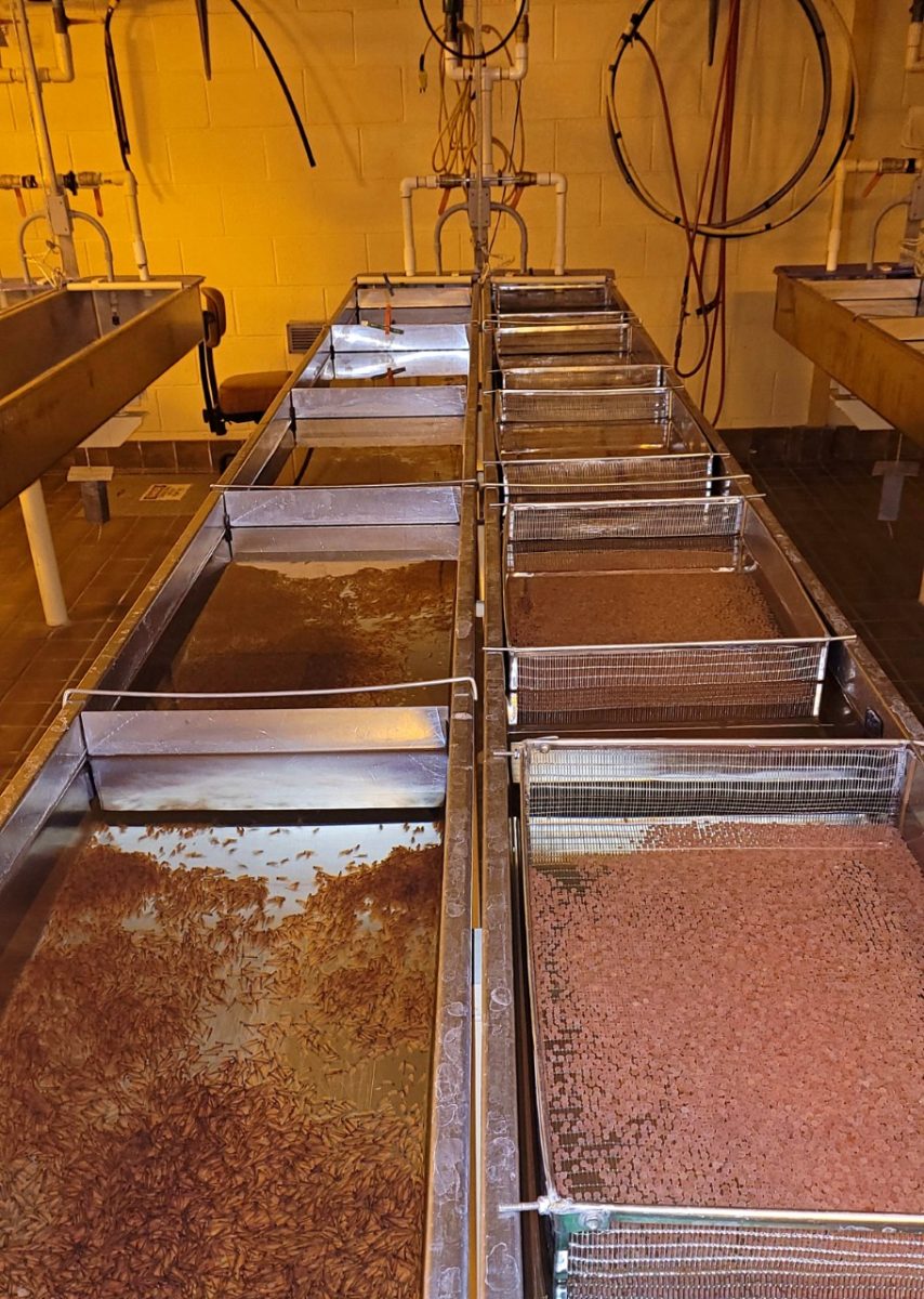 Saskatchewan Fish Hatchery - Saskatchewan Wildlife Federation